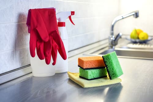 Sanitary Facts about Kitchen Sponges | 🥇 Buenavante House Cleaning